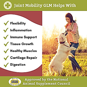 Wholistic Pet Organics Joint Mobility GLM: Dog Joint Health Supplement Glucosamine Chondroitin for Dogs Arthritis Pain Relief Hip and Joint Support Green Lipped Mussels for Dogs Large Breed