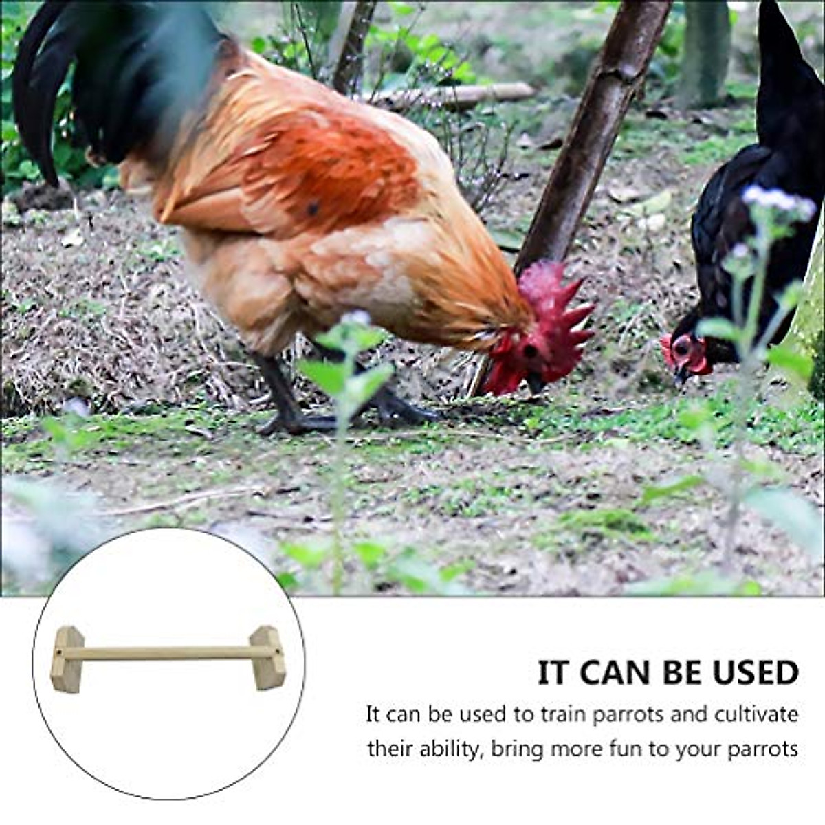 POPETPOP 2pcs Chicken Perch Wooden Roosting Bar for Coop and Brooder Bird Perch for Large Bird Baby Chicks Pollos Gallinas Polluelos Parrots