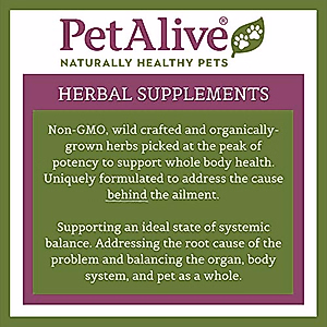PetAlive EaseSure-S - All Natural Herbal Supplement for Symptoms of Pet Seizures - Reduces Involuntary Muscle Movements and Twitching in Dogs and Cats - 59 mL