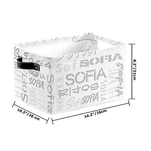 ZAACUSTOM Personalized Storage Bins with Name Custom Kids Storage Basket Cubes Organizer with Handles for Organizing Boys and Girls Toys Shelf Closet Nursery Baskets Boxes, 1 Pack