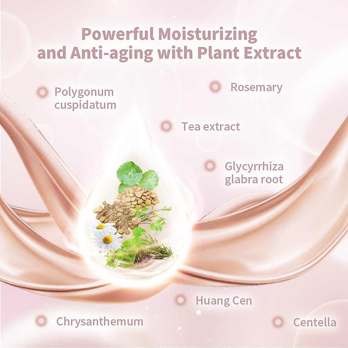 Catkin Blossom BB Cream Air Cushion Foundation Natural Coverage Moist Glowy Finish Breathable Face Makeup with 2 Refills Beige (C01 Ivory Light)