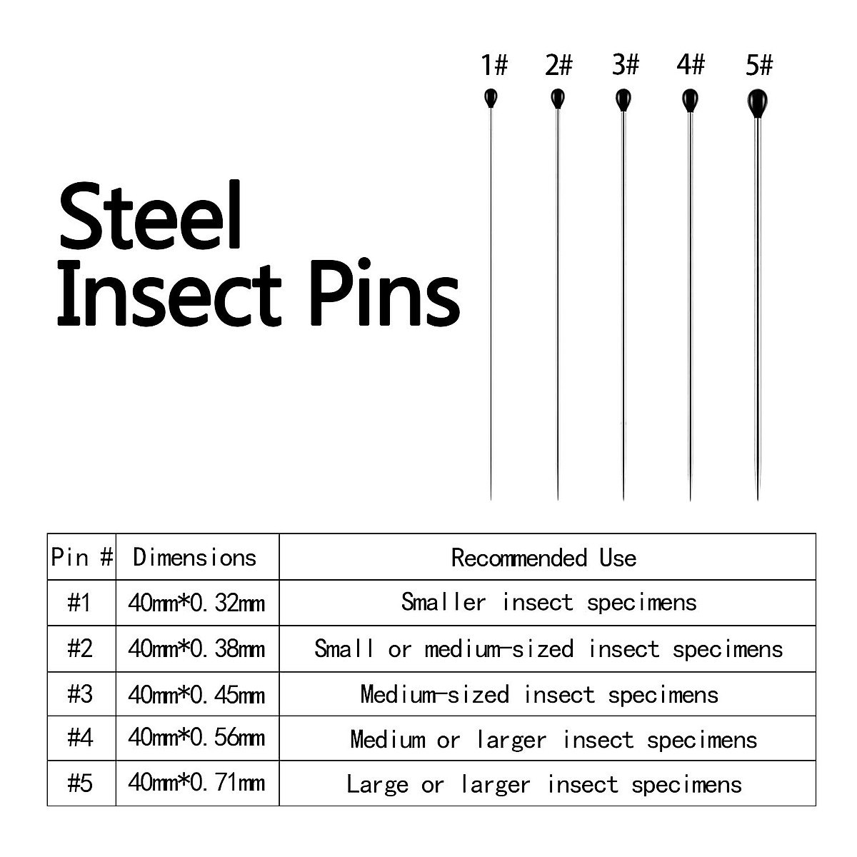 Stainless Steel Insect Pins Kit Specimen Entomology Pins Butterfly Collections Needles Variety Pack for School Lab Entomology Dissection Butterfly Collectors (500 Pieces, 5 Sizes)