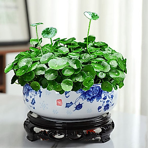 Happyyami House Plants Indoors Live Blue and White Floral Planter Flower Pot with Stand Orchid Pots Bonsai Holder Flower Bowl Garden Decorations for Garden Landscape Office House Plants