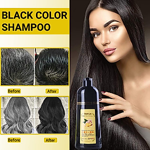 TSSPLUS Hair Dye Shampoo 3 in 1, Ginger Essence Black Hair Dye 16.9 Fl Oz, Black Hair Shampoo, Semi-Permanent Hair Color For Men and Women, 100% Gray Hair Coverage, Safe and Hair herbal shampoo
