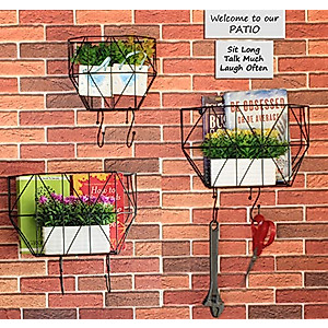 Wall Hanging Fruit Basket for Kitchen - Wall Mount Fruit Basket-Wire Basket with Hooks & Screws - Metal Wire Basket for Fruits & Vegetables Storage - Set of 3 - Black