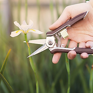 Winslow&Ross Garden Pruning Shears Set - 2 Pack, 1 Bypass Pruner+1 Anvil Pruner, Professional Garden Shears for Cutting Flowers, Bonsai, Fruits Picking