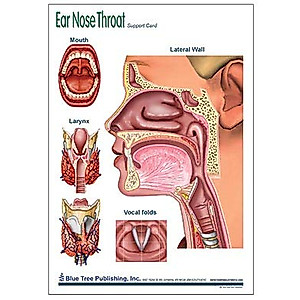 Ear Nose and Throat Support Card