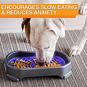 Neater Pets - Neat-LIK with Mess-Proof Tray Keeps Floors Clean - Slow Feeding Pad for Dogs & Cats - Relieves Anxiety & Cures Boredom - Fill Licking Pad with Treats & Food (Purple & Gunmetal)