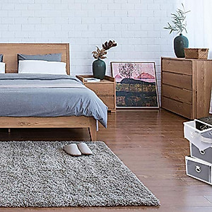 Cabilock SNEAKER SHOE CONTAINERS- Large capacity, thickened and durable.