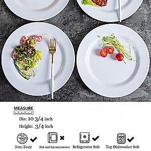 Melamine Dinner Plates Set - 10 3/4 Inch White Melamne Plates, 6pcs Dinner Dishes Set for Everyday Use, Dishwasher Safe,Unbreakable,White