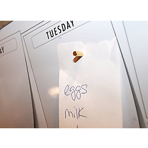 Metal Cylinder Magnets, 30 pcs Gold Magnetic Pins,Magnets for Building, Science, DIY, Refrigerator&Kitchen,Magnets Cabinet&Class,Perfect as Whiteboard, Locker or Fridge, Tiny Powerful Magnets for Maps