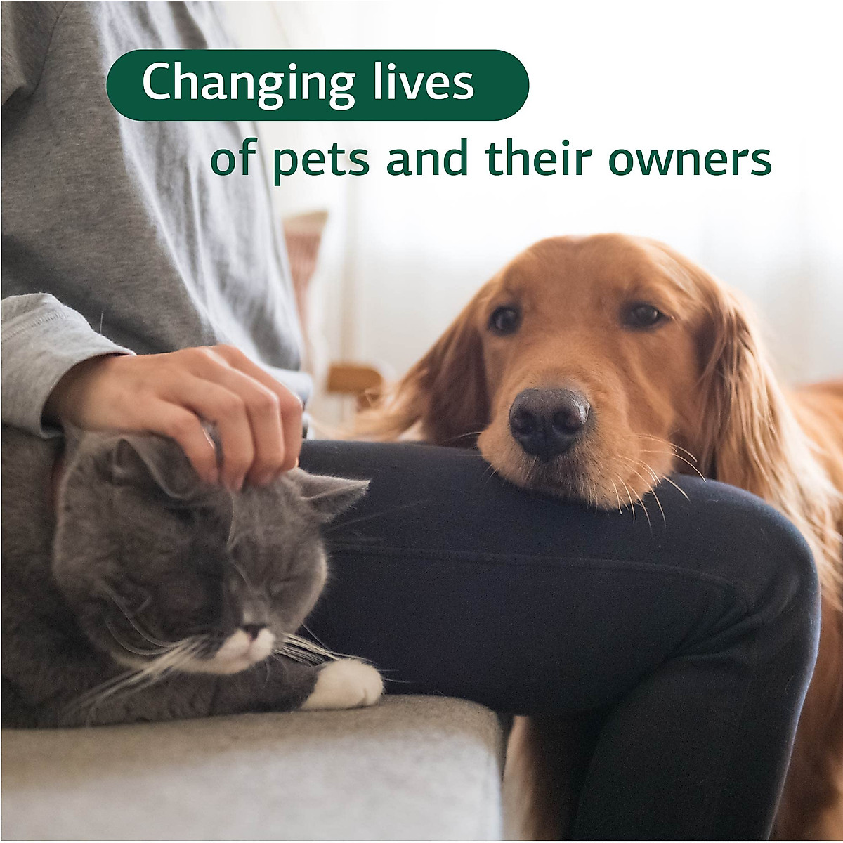 Standard Process VF Omega-3 for Pets - Dietary Supplement with Omega-3 Fatty Acids - Support Bone Growth, Immune Health, Heart Health & More - Fish Oil Supplement for Pets - 90 Softgels