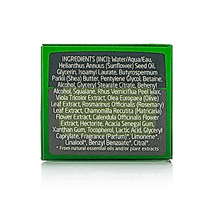 Weleda Skin Food Face Care Nourishing Day Cream, 1.3 Fluid Ounce, Plant Rich Moisturizer with Olive Leaf Extract, Squalane and Chamomile