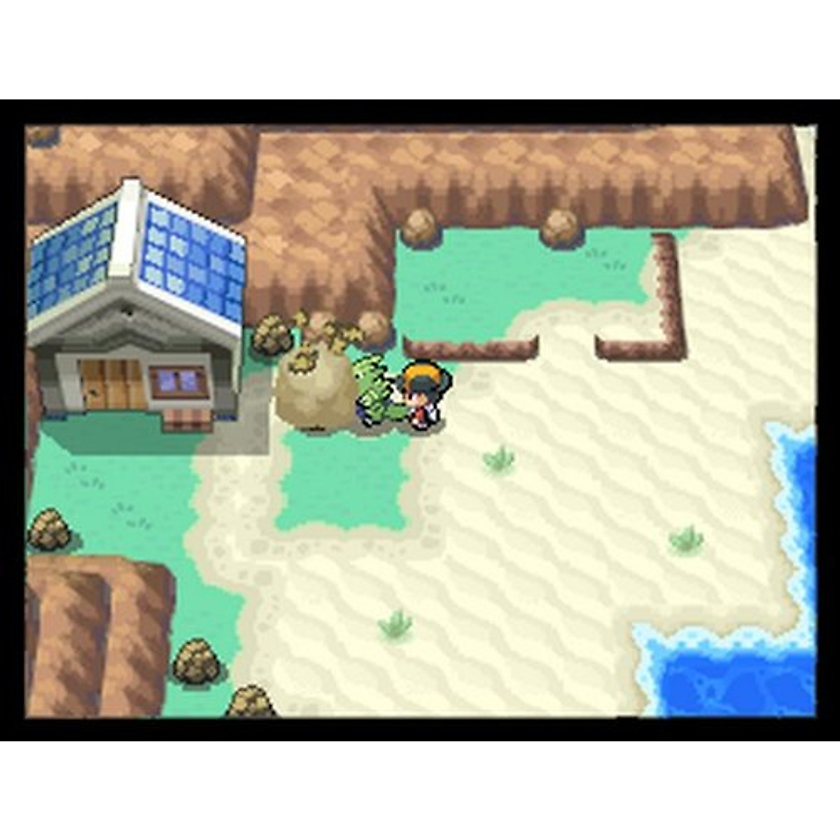 Pokemon HeartGold Version