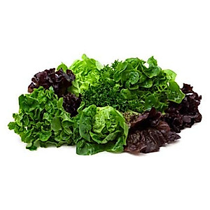 1000+ Lettuce Mix Seeds Please Read! This is A Mix!!! 20 Varieties Seeds Heirloom Non-GMO. Seeds are not Individually Packaged!