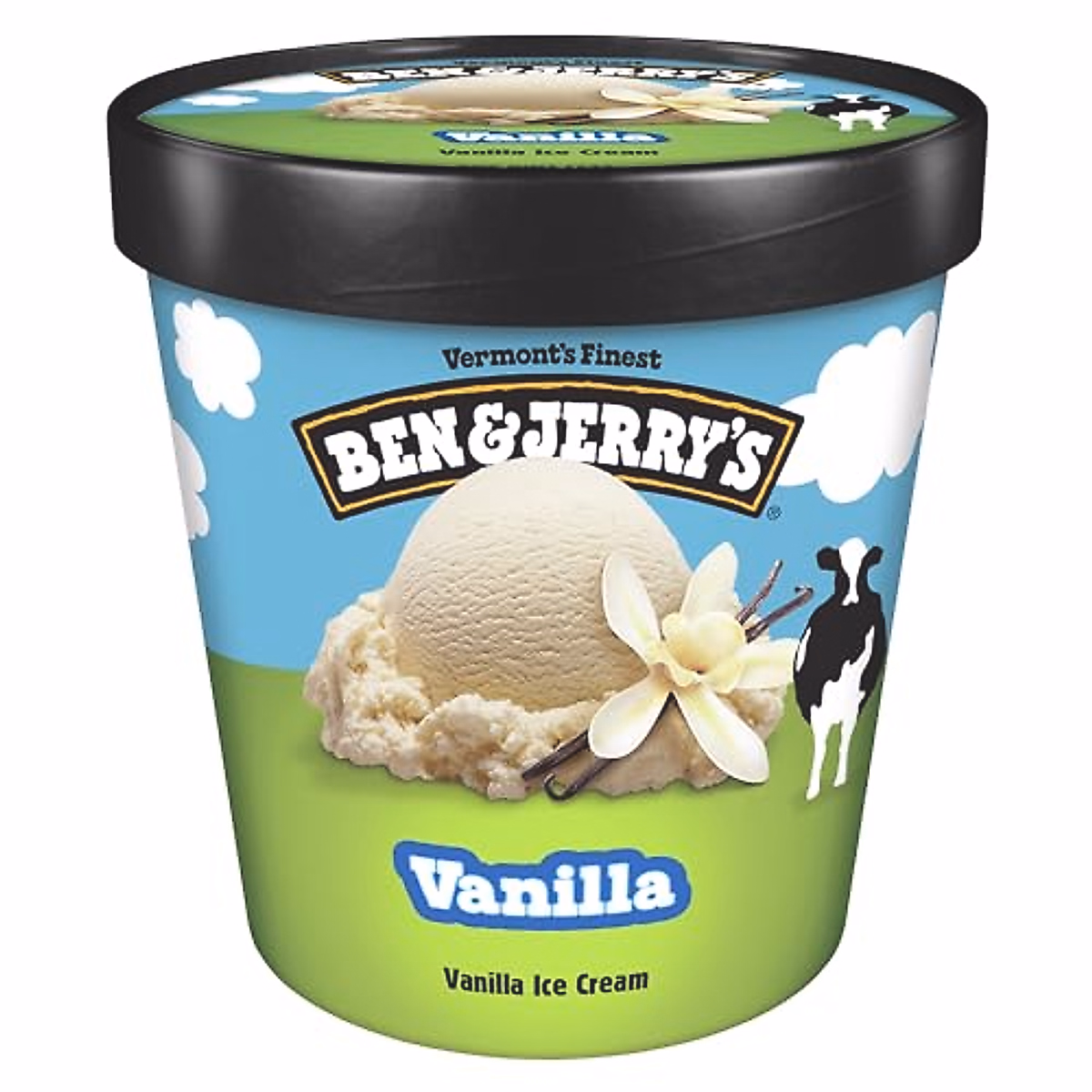 Ben & Jerry's Vanilla Ice Cream Pint Non-GMO 16 oz