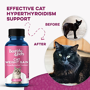 Cat Weight Gain & Hyperthyroidism Treatment - Safe and Effective Cat Appetite Stimulant, Thyroid and Metabolic Support, and Cat Weight Management Remedy - 400 All-Natural Odorless, Tasteless Pills