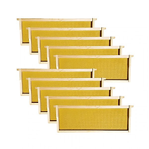 Hoover Hives 10 Frame Medium Super Box for Honey Bee Hives