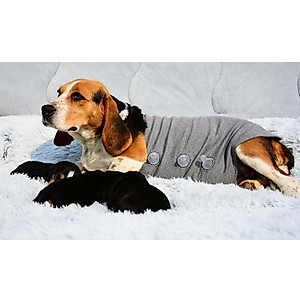 Dog Anxiety Vest with Artificial Nipple| Dog Belly wrap, reducing Anxiety, Pain| Dog weaning Control Suit| Dog Recovery Suit for Injury.