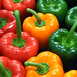 NIKA SEEDS - Seeds Vegetable Sweet Bell Pepper Rainbow Mix - 30 Seeds
