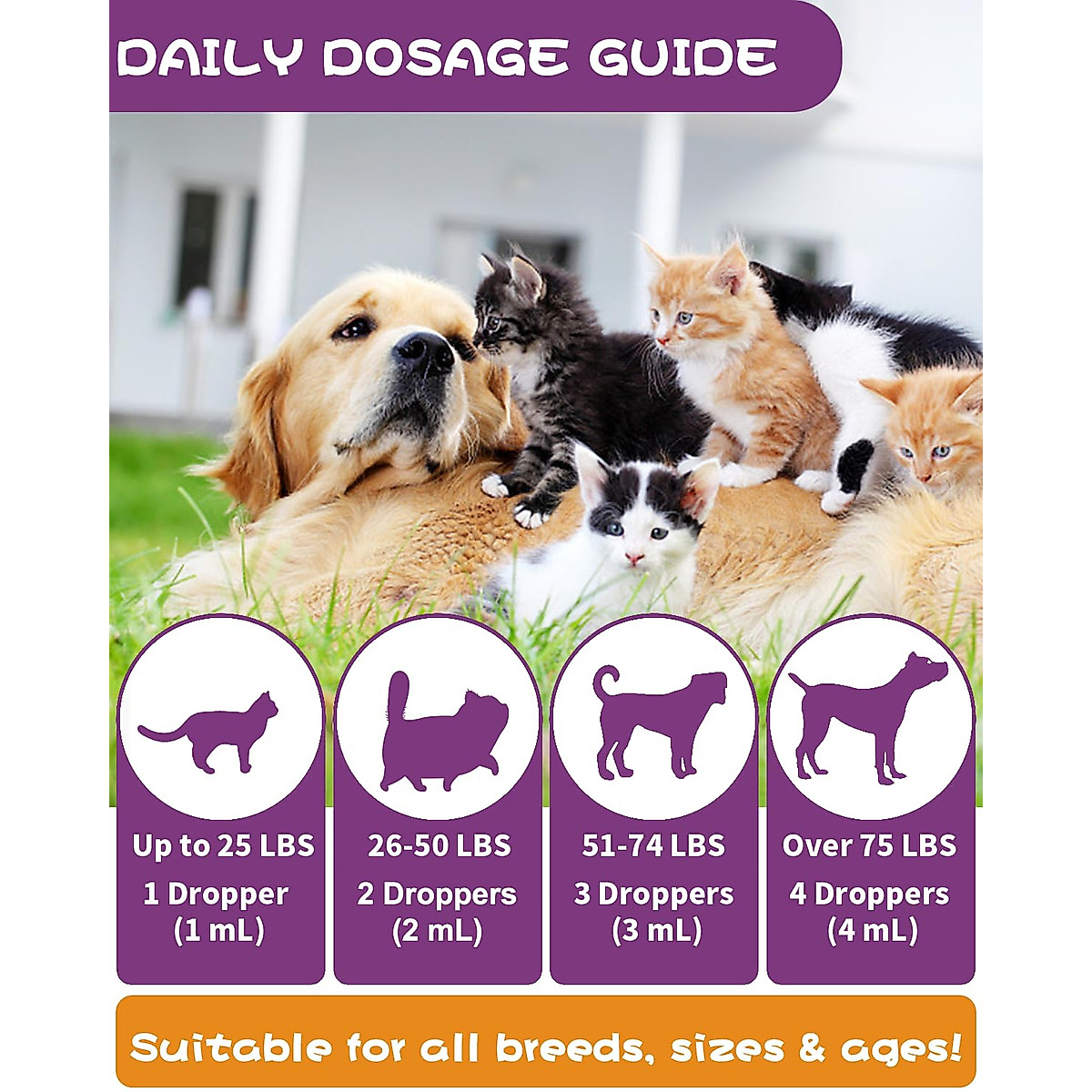 Cat & Dog Urinary Tract Infection Treatment | 60ML Support Bladder, Kidney & Incontinence | Cranberry Supplement for Cats & Dogs | Dog UTI | Cat UTI | Cat & Dog Kidney Support | Chicken Flavor