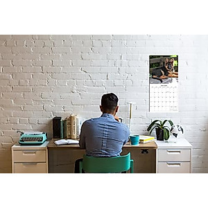 DOGS Monthly Wall Calendar | 12" x 24" | Thick Sturdy Paper | Dog Calendar 2024-2025 (Shepherds)