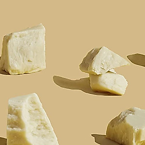 SheaMoisture Restorative Conditioner for Dry, Damaged Hair Raw Shea Butter Silicone Free Conditioner for Curly Hair 13 oz