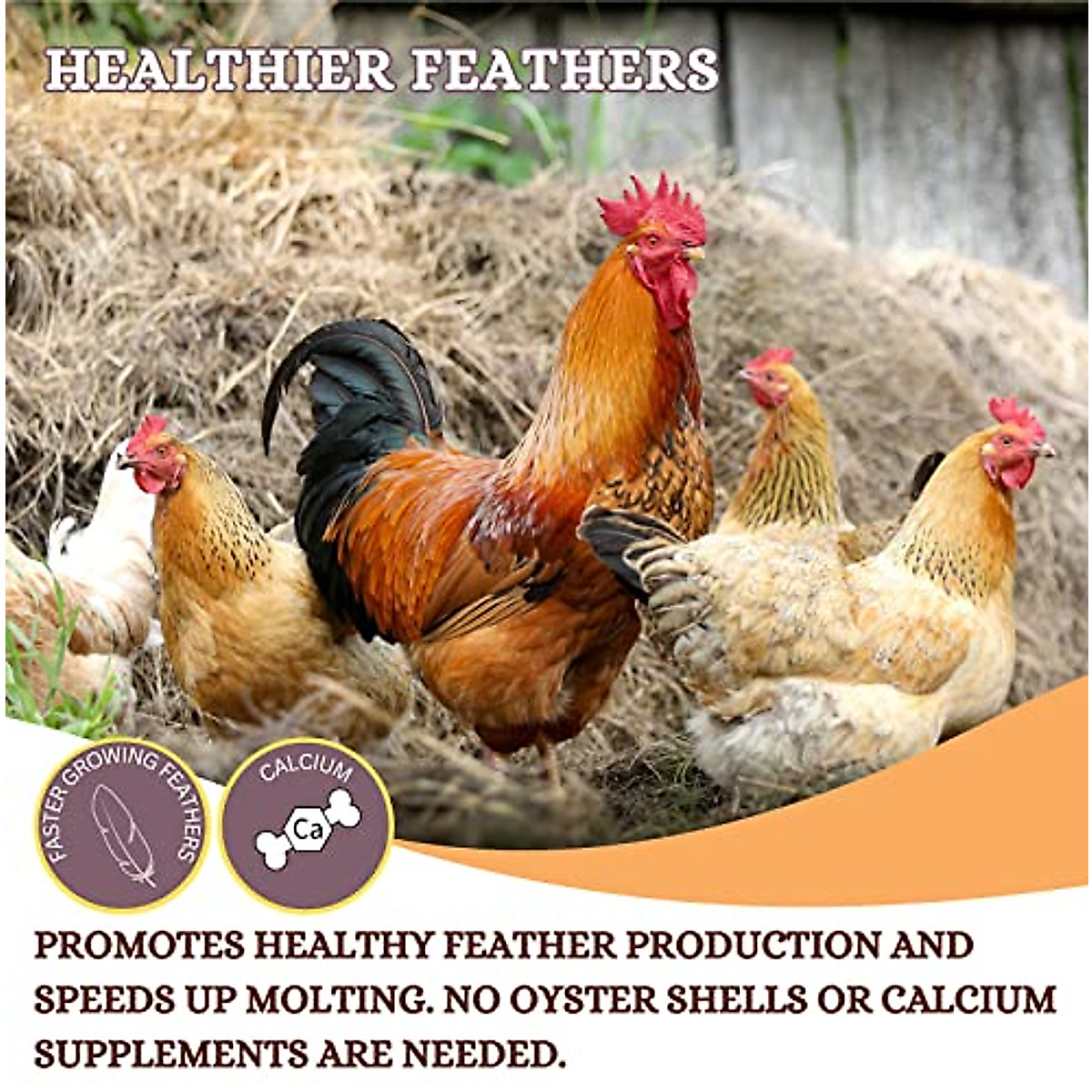 PICKY NEB 100% Non-GMO Dried BSF Larvae Grubs (5 lbs) Bulk - Chicken Treats & Molting Supplement - High-Protein Immune System Booster Snack for Chickens - 85x More Calcium Than Mealworms