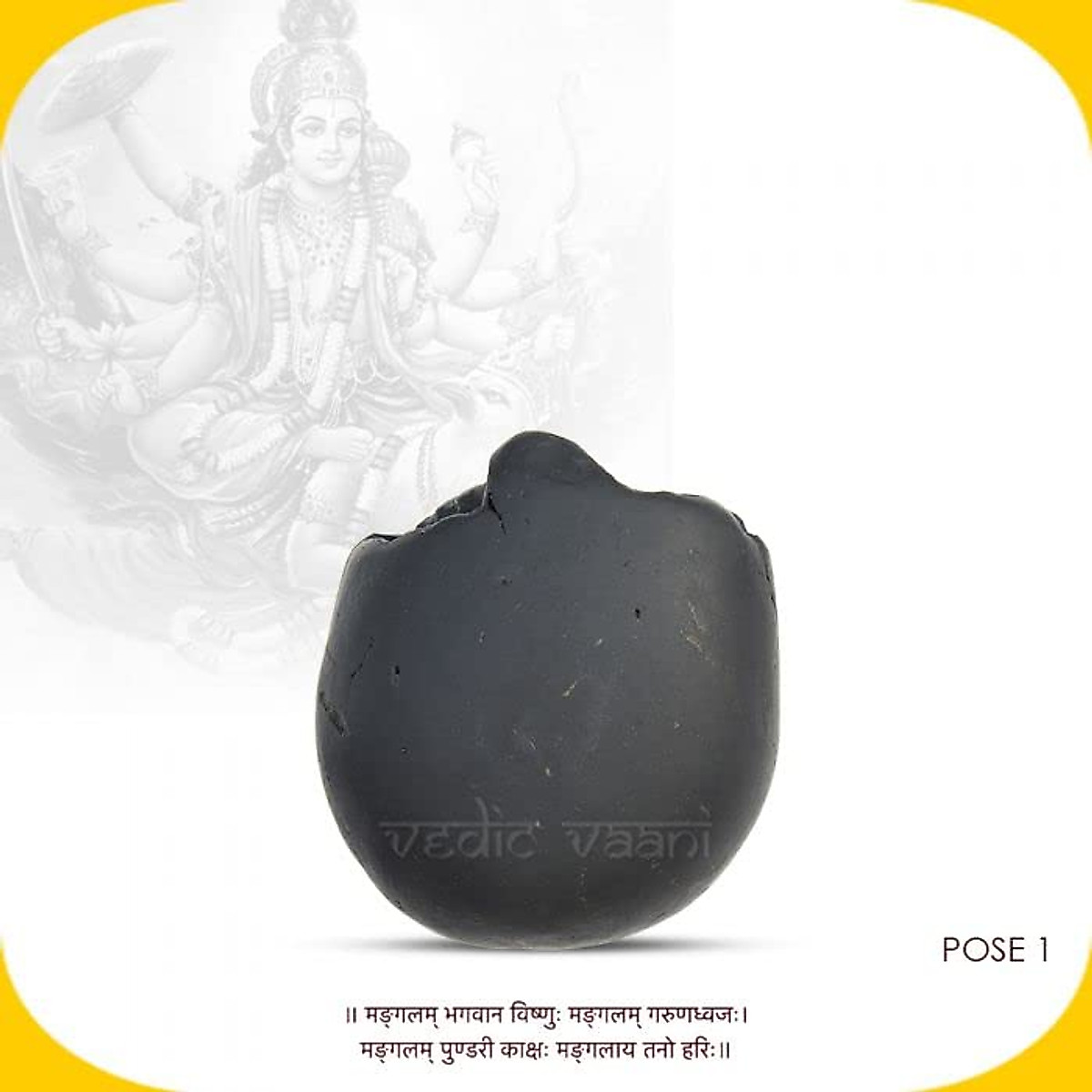 Vedic Vaani Garuda Vishnu Shaligram Shila (Pack of 4)