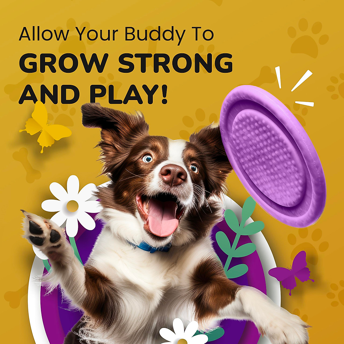 PetMade Dog Hip and Joint Supplement - Junior and Senior Dog Supplements for Mobility, Flexibility Support and Bone Strength, Deluxe Glucosamine Chondroitin for Dogs, 16 oz