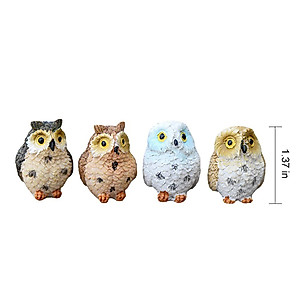 Flocovers 4 PCS Resin Mini Owls, Fairy Garden Accessories Miniature Figurines, Fairy Garden Supplies Micro Landscape, Fairy Garden Animals for Fairy Garden, Plant Pots, Bonsai Craft Decor
