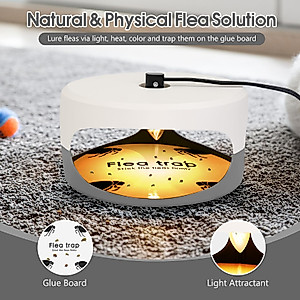 Flea Traps for Inside Your Home, 2 Pack Flea Trap Light, Flea Traps Indoor for Home, Bed Bug Killer w/Sticky Pad Refills & Bulb, Odorless Insect Treatment Trap Catcher Pest Control for Pet