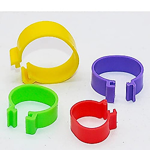 QWEQWE 100 Pack Chicken Identification Leg Bands Rings, ， Bird Ring Leg Bands - Plastic Pigeon Foot Bands Clip on Leg Rings for Chicks Pigeons, Parrots, Chickens (Random Color)
