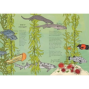 Ocean Anatomy: The Curious Parts & Pieces of the World under the Sea