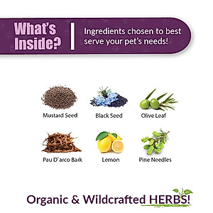 Amber NaturalZ UTR Urinary Tract Herbal Supplement for Dogs, Cats, Birds, Guinea Pigs, and Rabbits | Pet Herbal Supplement for Bladder Support | 1 Fluid Ounce Glass Bottle | Manufactured in The USA