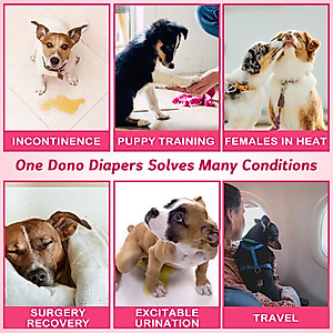 Dono Disposable Doggie Diapers Female Cute Girl Doggy Super Absorbent Soft Heating and Pee Puppy Diapers Female Liners, Including Diapers 28pcs M Diapers for Dogs and Cats