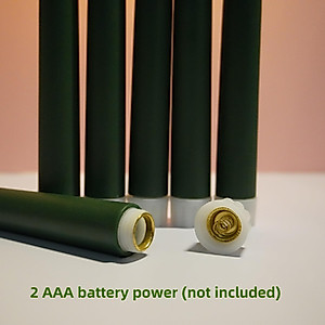 Ni-JASW Green Flameless Taper Candles with Remote, Flickering Battery Powered LED Candlesticks Set of 4