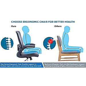 Serena Ergonomic Mesh Drafting Chair - Adjustable, Breathable Mesh, Lumbar Support, Ergonomic and Height Adjustable Flip-Top Office Chair with Foot Ring and Productivity - Gray