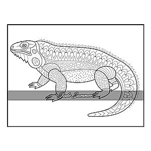 100 Animals: An Adult Coloring Book with Lions, Elephants, Owls, Horses, Dogs, Cats, and Many More!