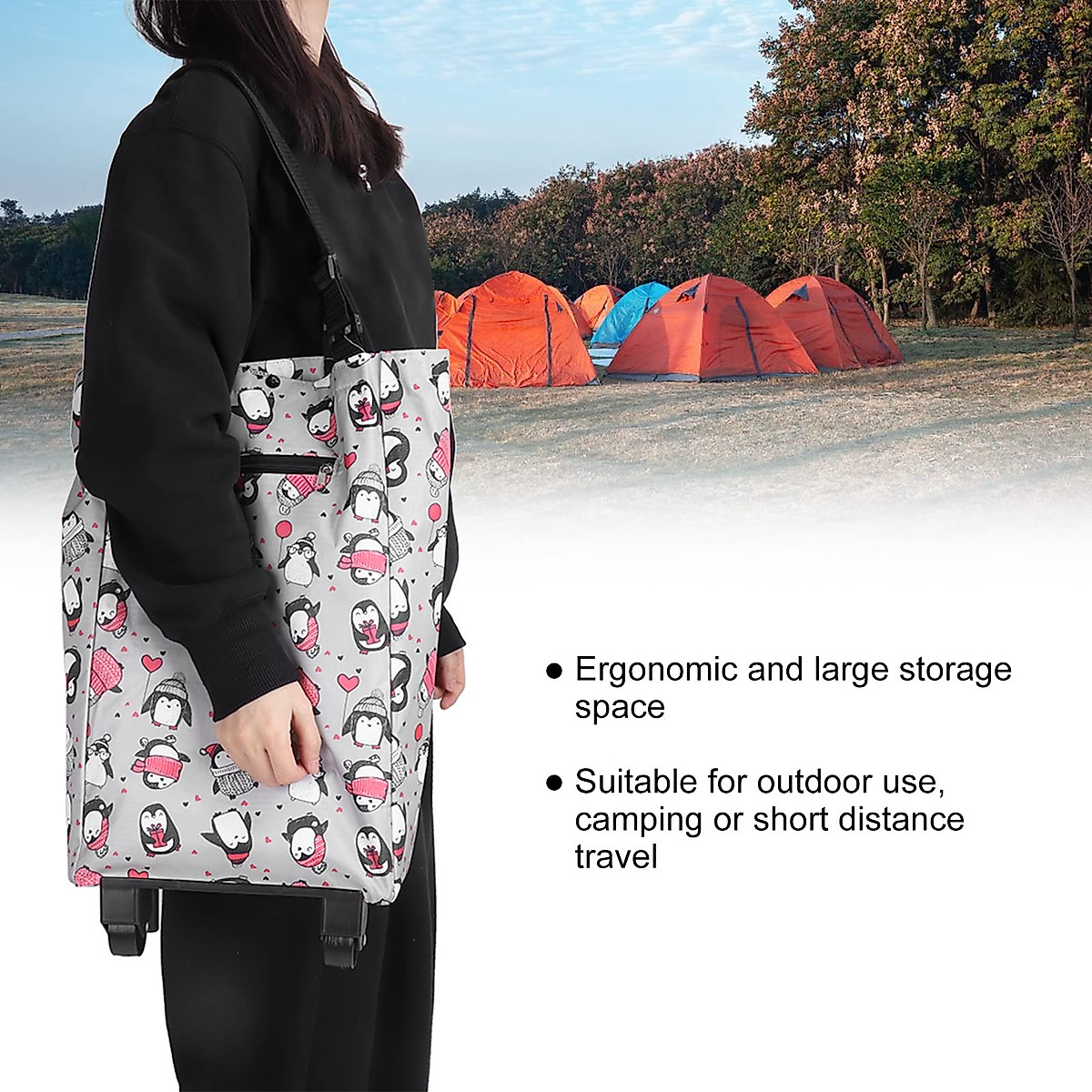 EASTALOLO Household Shopping Cart Foldable Grocery Trolley for Elderly Outdoors