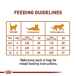 Royal Canin Hair & Skin Care Dry Cat Food, 6 lb bag