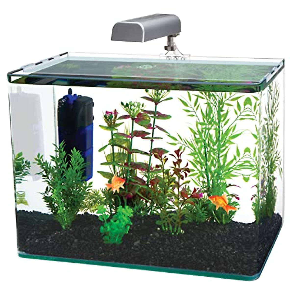 PENN-PLAX Water-World Radius Desktop Nano Aquarium Kit – Includes LED Light, Internal Filter, and Mat – Perfect for Shrimp and Small Fish – 7.5 Gallon Tank