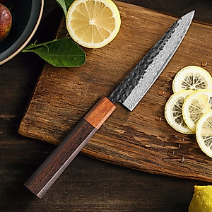 TURWHO 10.5-inch Japanese Sashimi Knife Hand Forged 67 Layers Damascus Steel Salmon Kitchen Knives