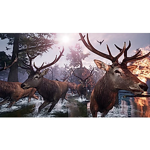 Away: The Survival Series (PS4)