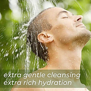 ShiKai Tea Tree Conditioner (24 oz) | Repair Hair, Refresh & Stimulate Scalp | With Revitalizing Peppermint, Tea Tree & Hydrating Jojoba Oil