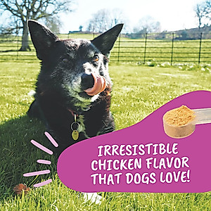 Under the Weather Pet Joint and Hip Powder for Dogs | Vet Formulated Dog Supplements with Glucosamine Antioxidants & Chondroitin for Strong Overall Joint Health | Promotes Good Mobility & Flexibility