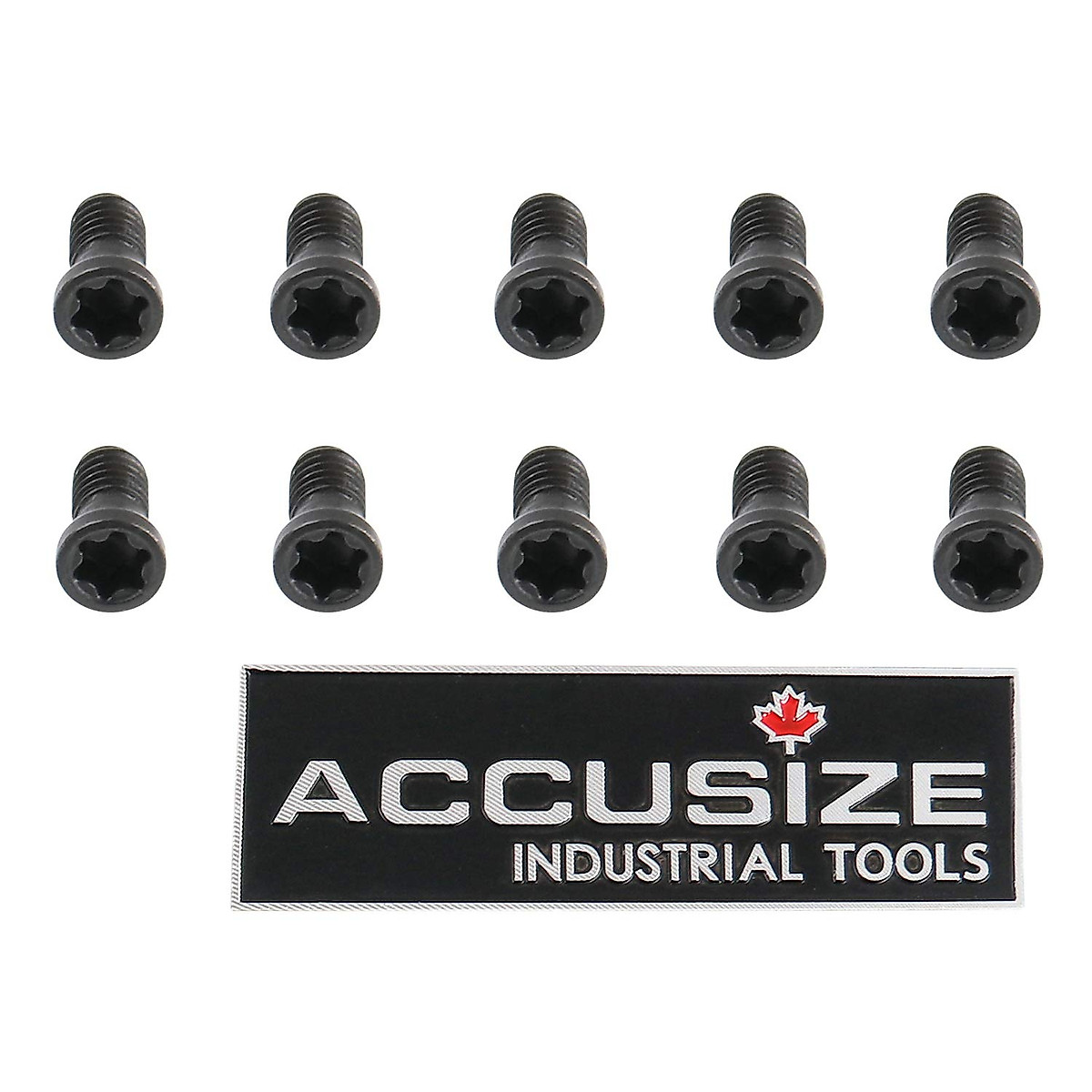 Accusize Industrial Tools M2.5 by 6 Replacement Screws for Indexable Face Mill and End Mills, 10 Pc, 0046-0910x10