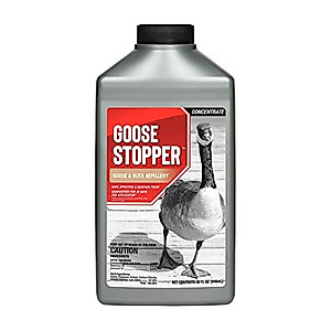 Messina Wildlife GS-C-032 Goose Stopper Quart Concentrate, 1 quart