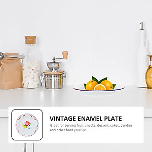 HEMOTON Pasta Bowls Enamel Plate Enamelware Dinner Serving Platter Trays with Blue Rim Serving Trays for Dinner Outdoor Picnic BBQ Butter Farmhouse Kitchen Serving Bowl