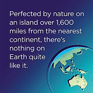 FIJI Natural Artesian Water, 16.9 Fl Oz (Pack of 24)